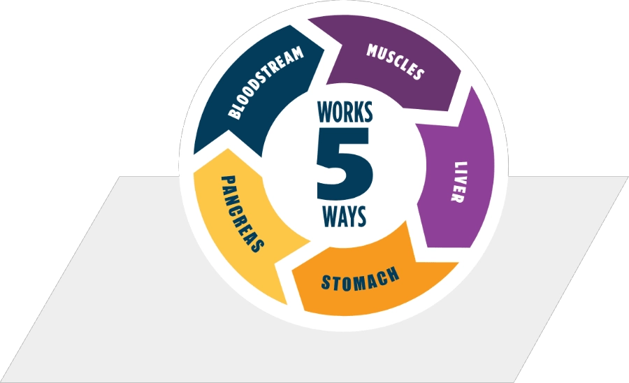 Insulin Injection For Type 2 Diabetes | SOLIQUA® 100/33 (insulin ...